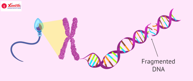Sperm DNA Fragmentation Index Test (DFI) – Advanced Male Fertility Testing